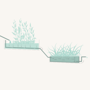 Assainissement individuel par massif filtrant planté -phytoépuration ...